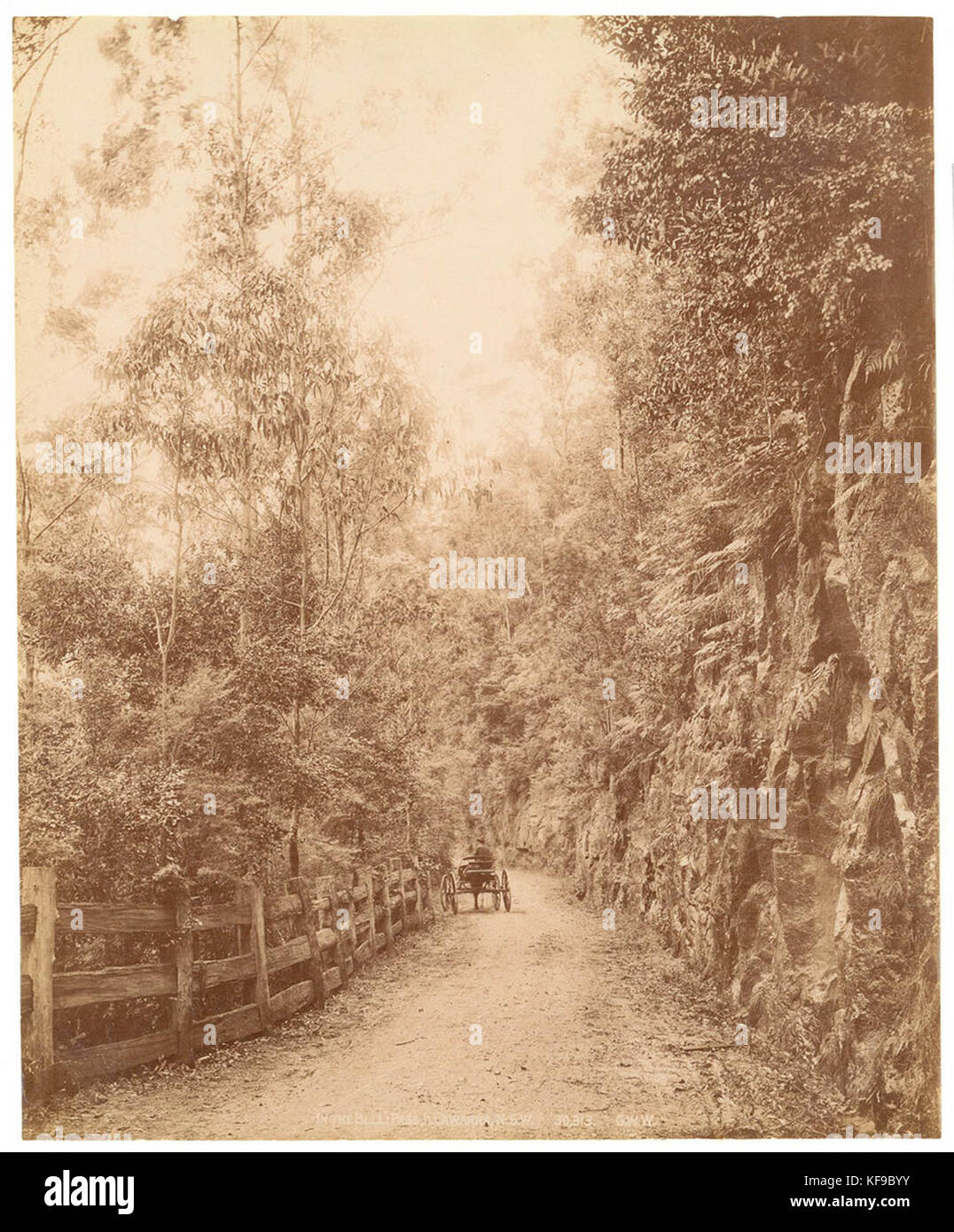 Bulli Pass High Resolution Stock Photography and Images - Alamy