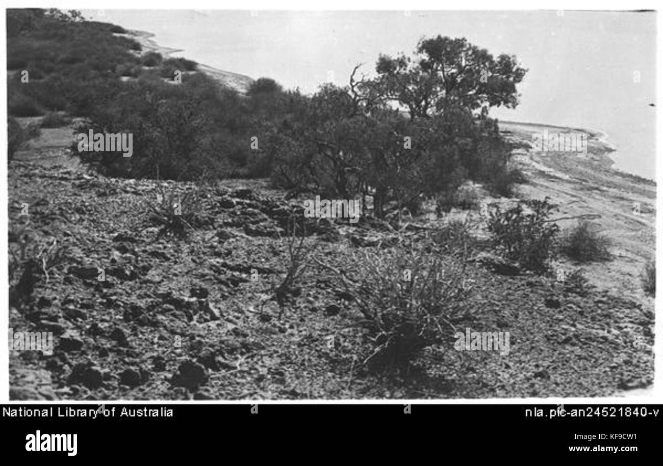 A 1937 photograph capturing the Diamantina River near Durrie Station in ...