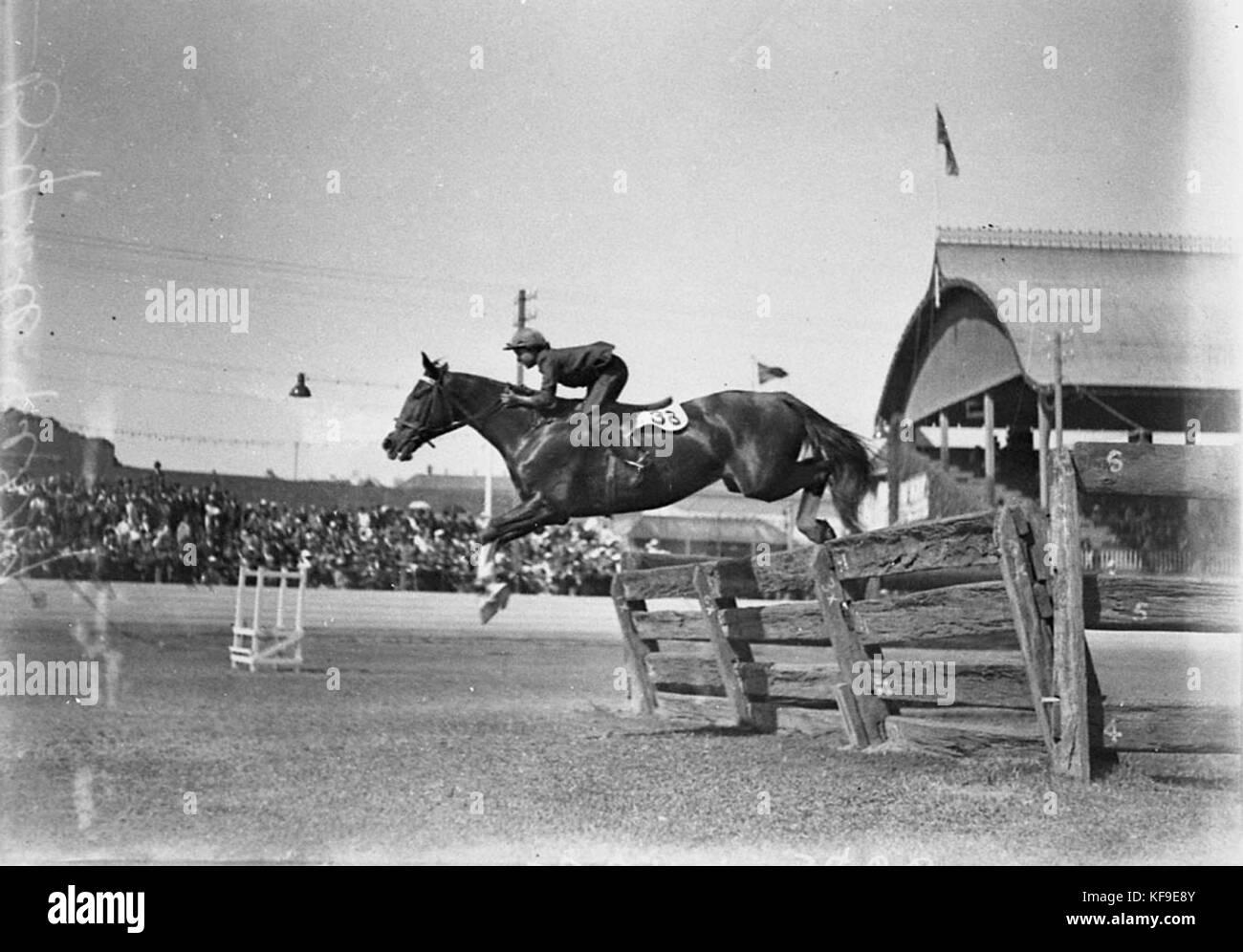 51558 Beryl Perry clears the hurdle in the ladies hunt Stock Photo - Alamy