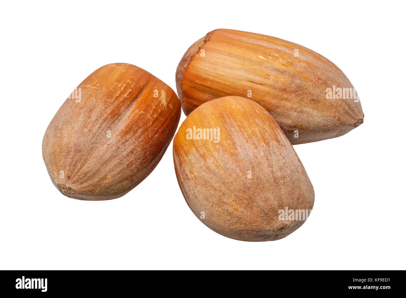 Group of nuts isolated on a white background Stock Photo - Alamy