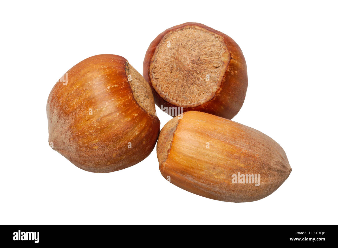 Group of nuts isolated on a white background Stock Photo - Alamy