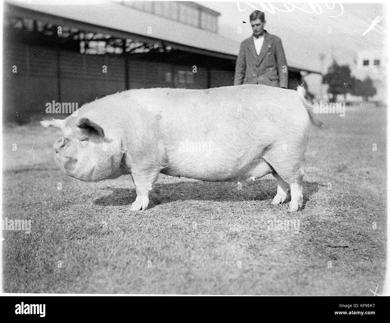 Selective reproduction Black and White Stock Photos & Images - Alamy