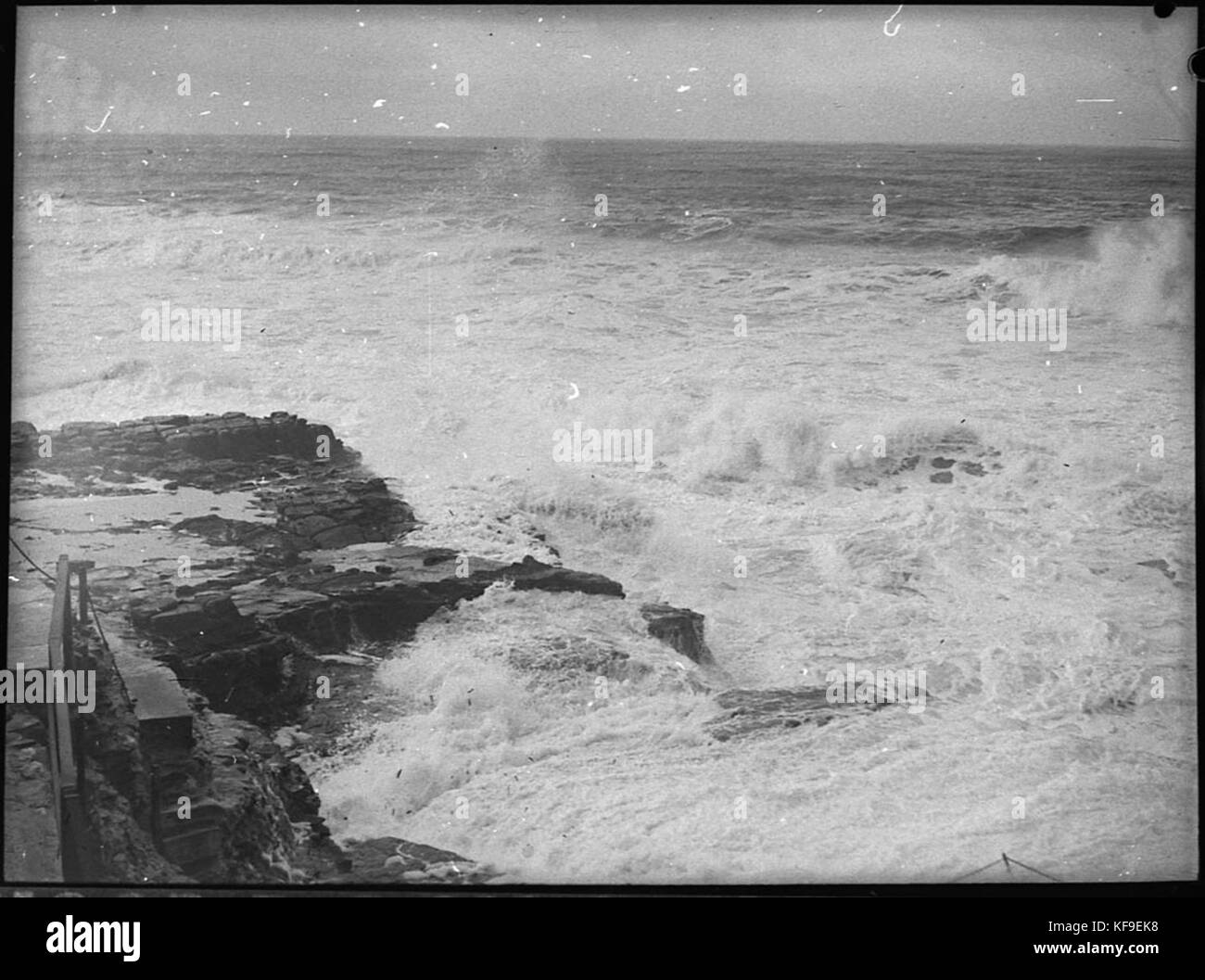 Ecosystem disruption Black and White Stock Photos & Images - Alamy