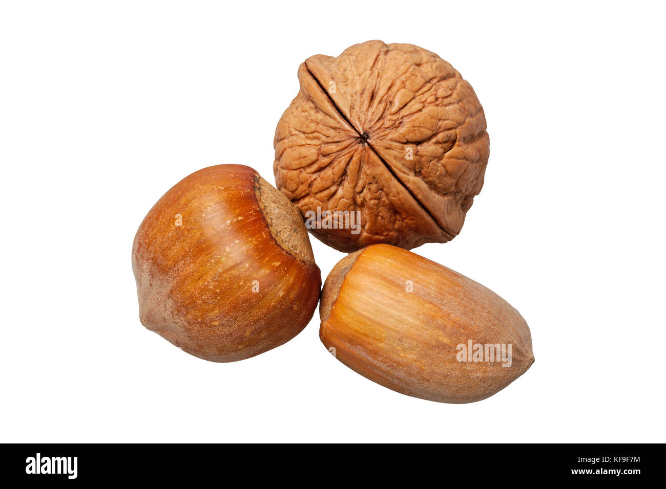 Group of nuts isolated on a white background Stock Photo - Alamy