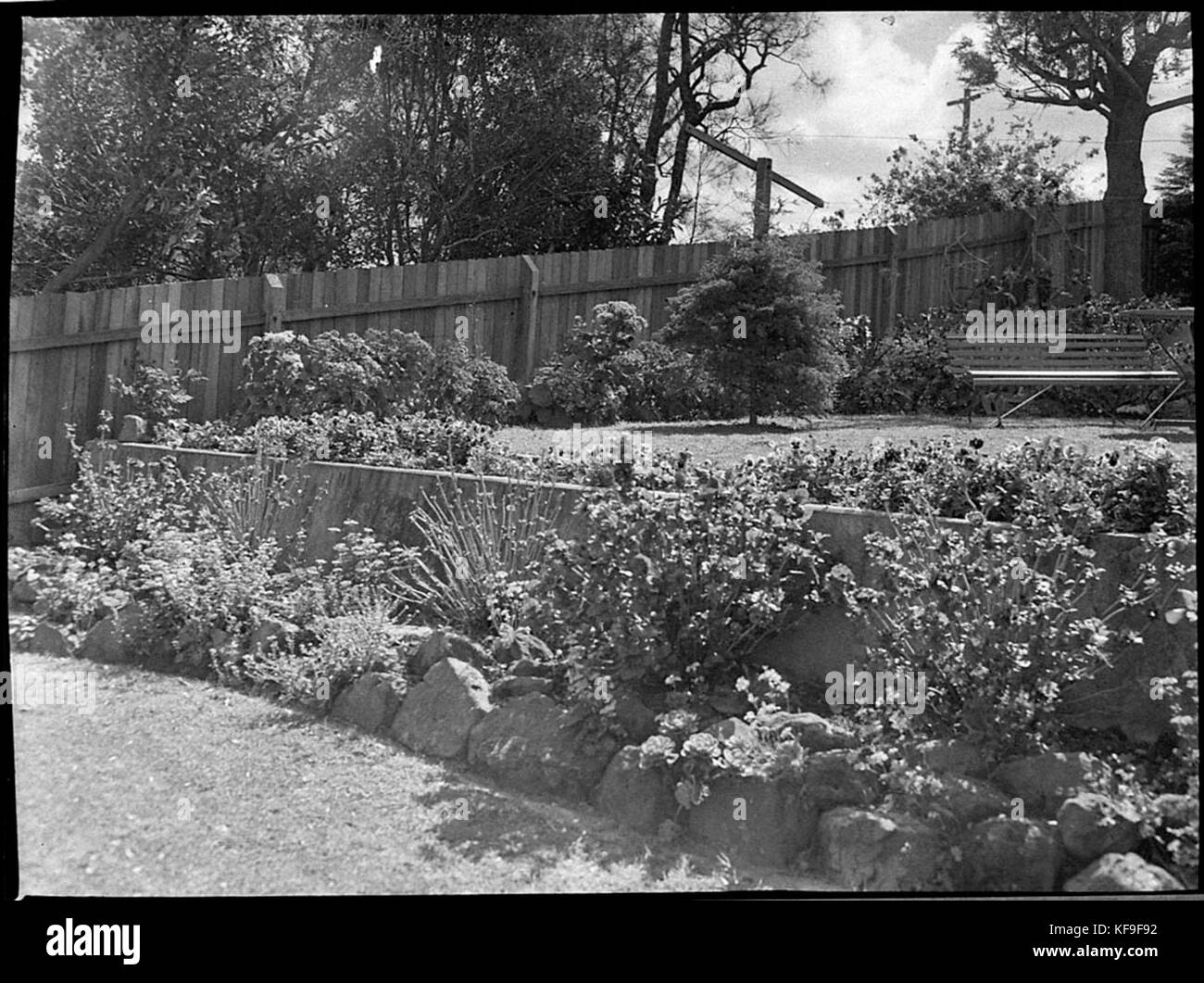 Home grown Black and White Stock Photos & Images - Alamy