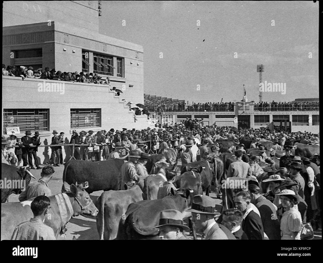 The Easter Show is an annual event showcasing agricultural exhibits ...