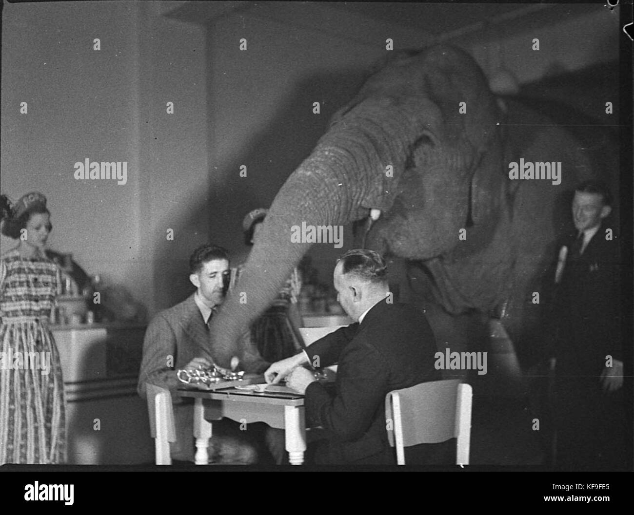 A whimsical illustration or photograph depicting an elephant tea party ...