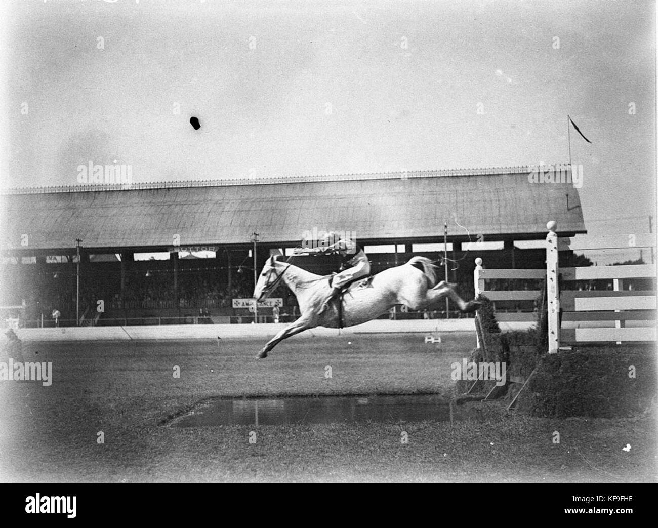 This image captures an equestrian event, where horses and riders ...