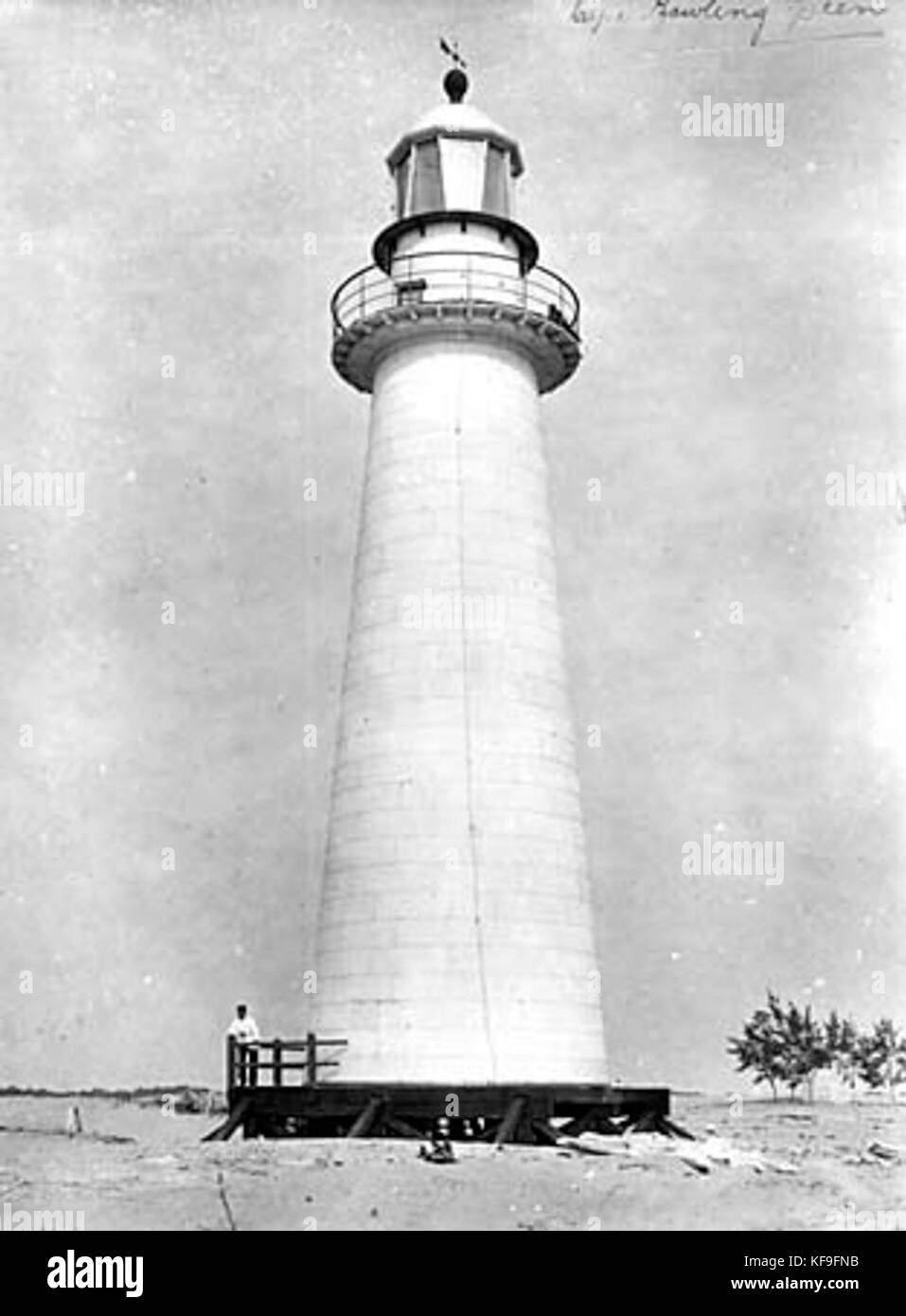 Green features Black and White Stock Photos & Images - Alamy