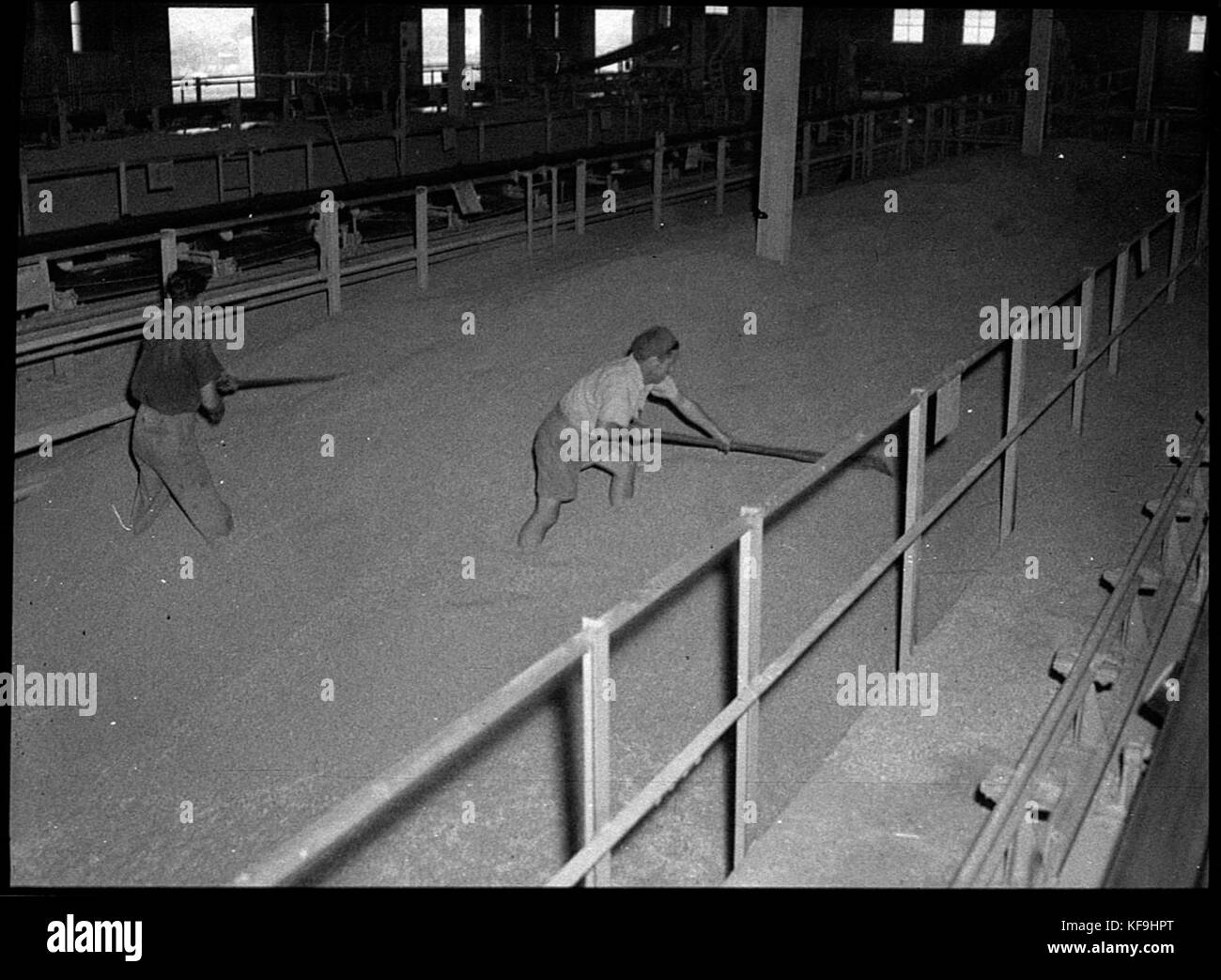 Food processing equipment operation Black and White Stock Photos ...