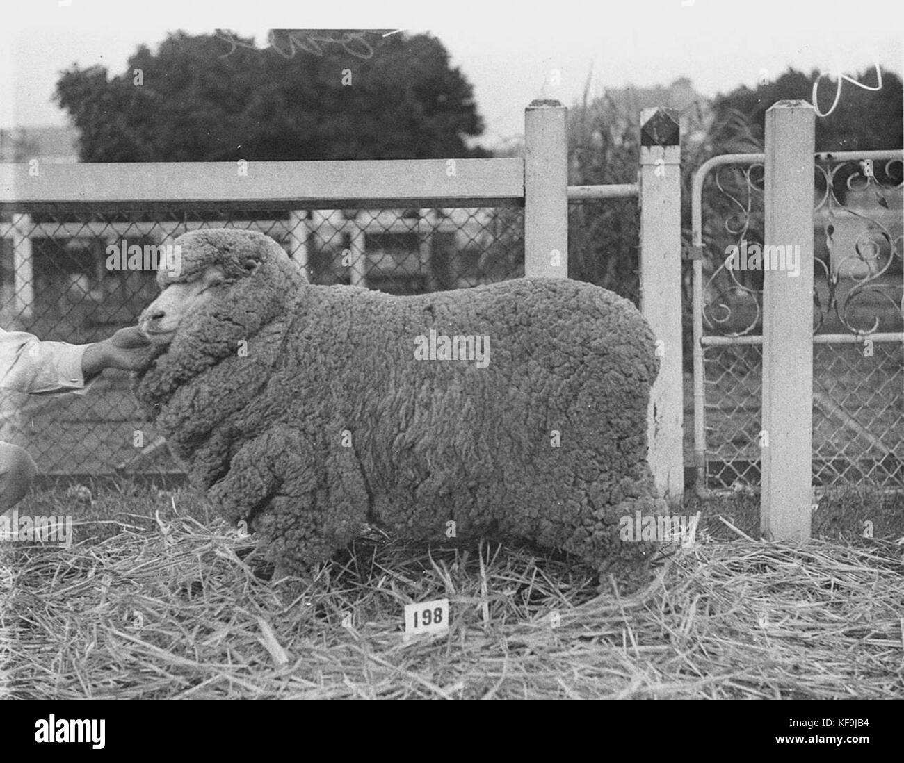 Show reserve Black and White Stock Photos & Images - Alamy