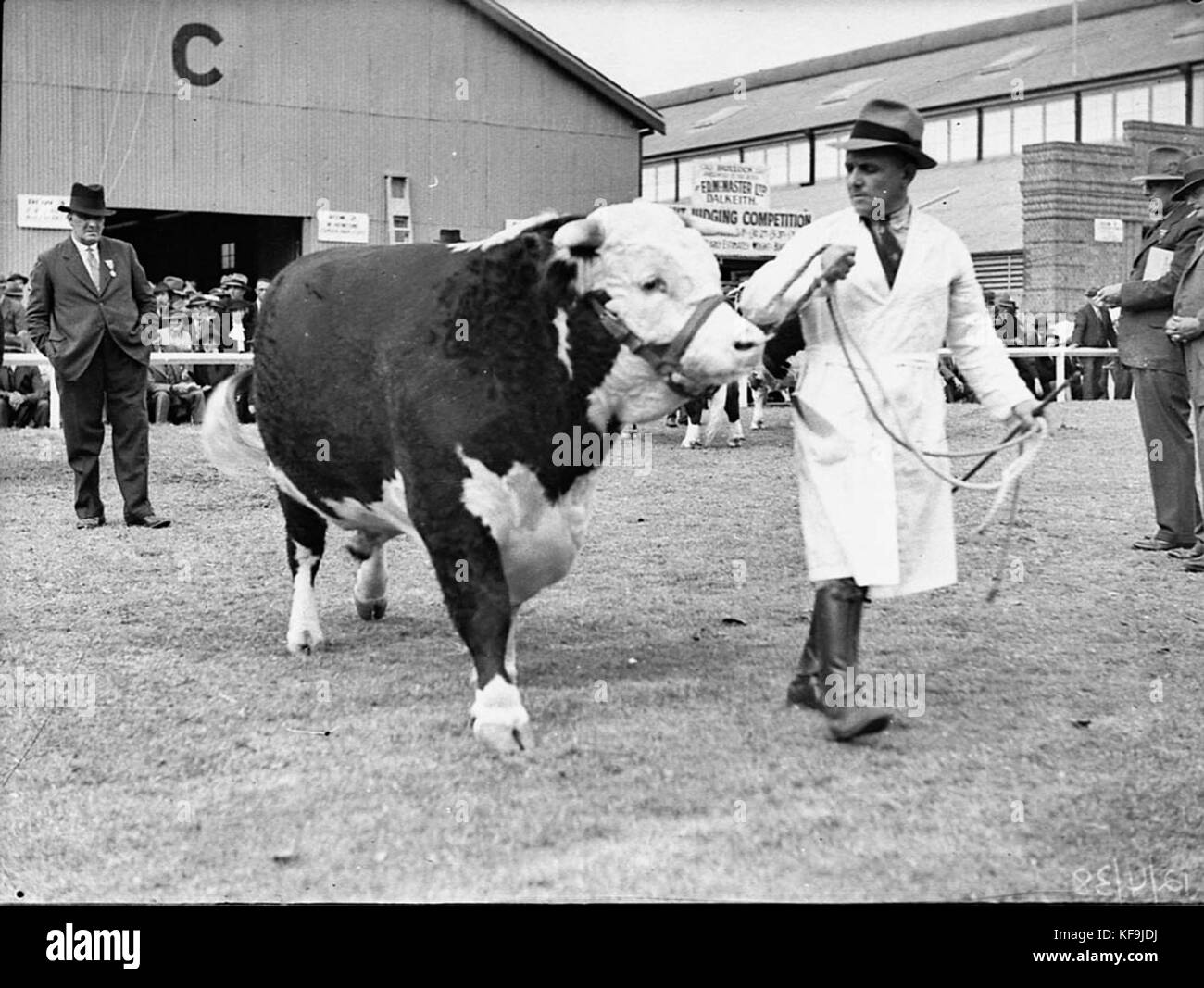 22360 Royal Easter Show Stock Photo - Alamy