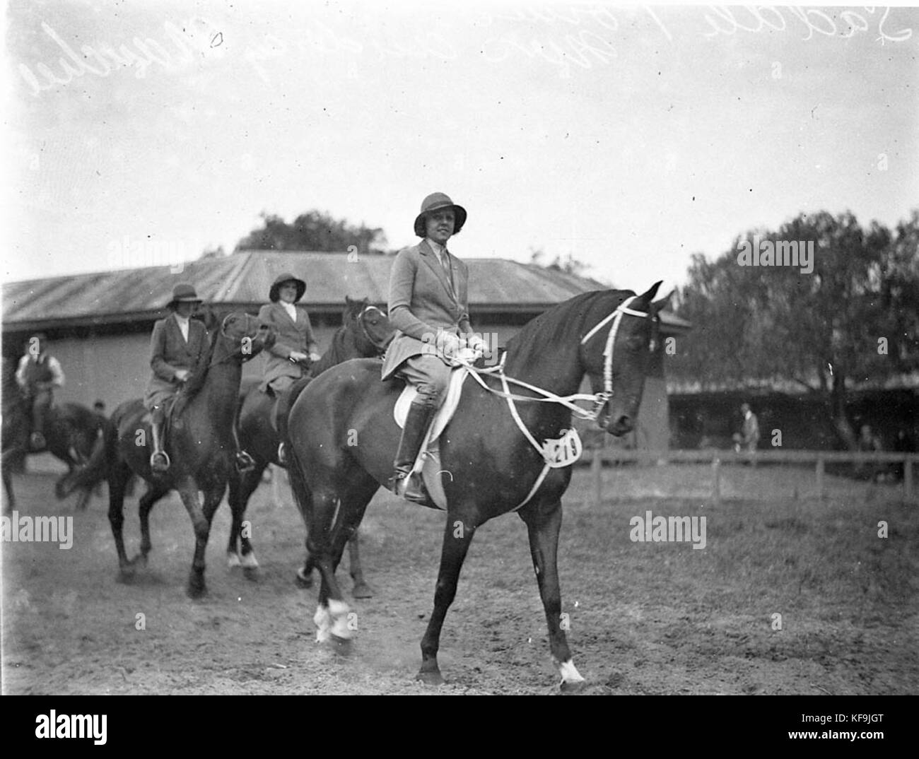 7723 Saddle ponies event Mrs Audrey Manchee Stock Photo - Alamy