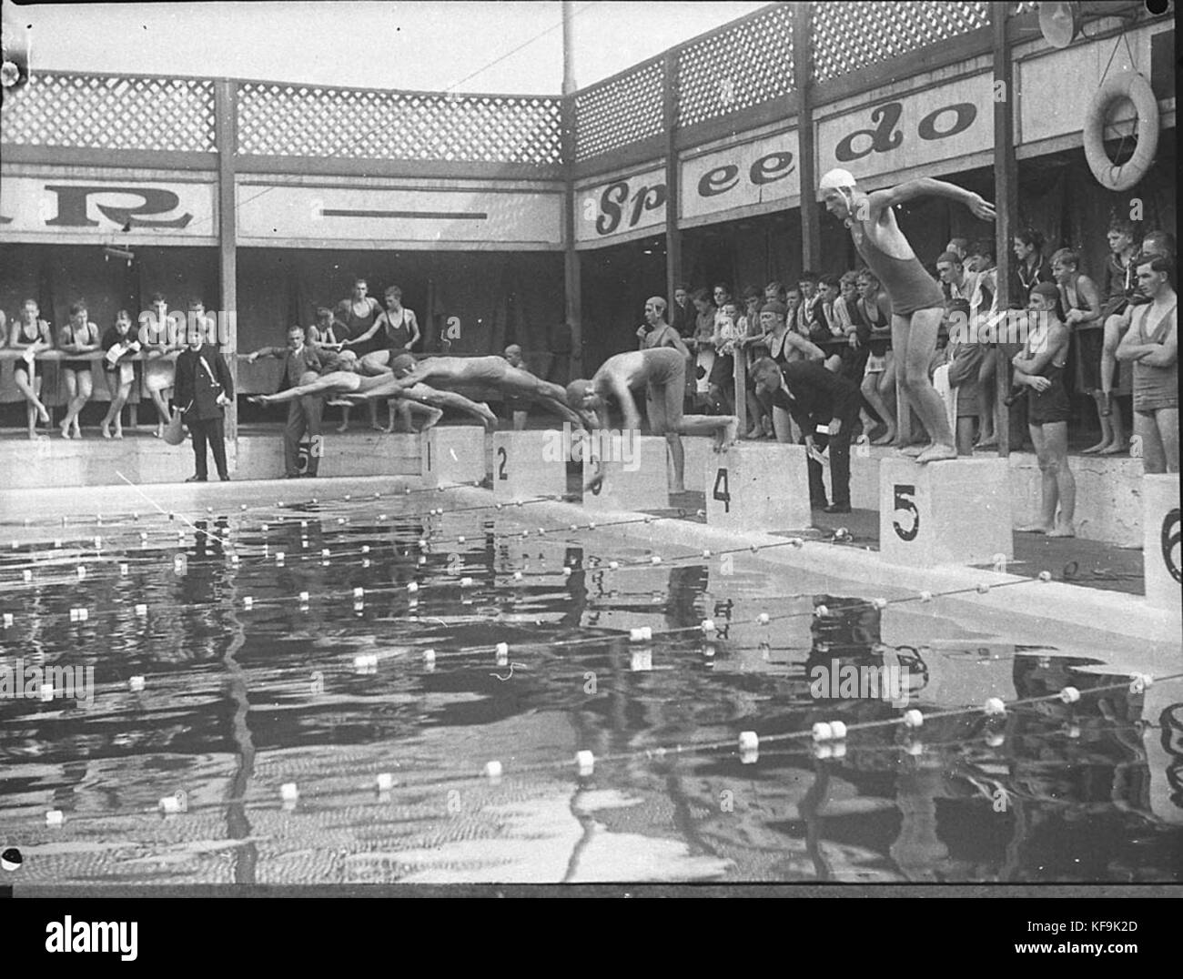 14369 Start of a relay race showing five swimmers diving in Colleges ...