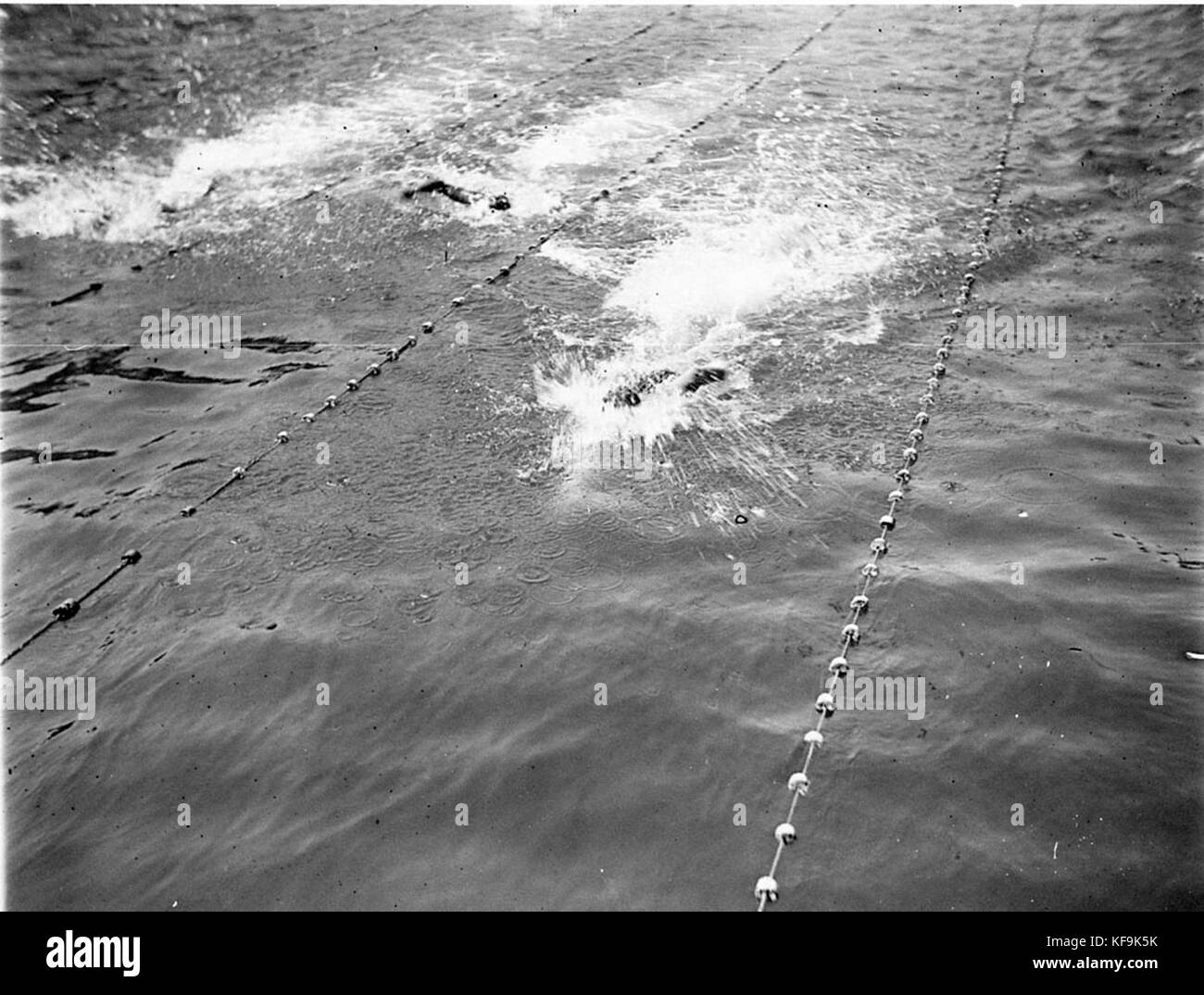 7778 Swimmers splash their way to finish Stock Photo - Alamy