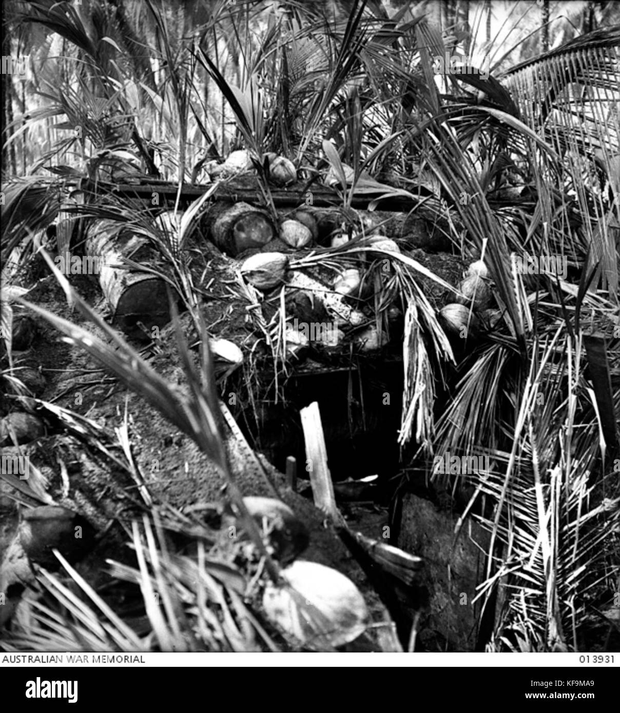 Mg position Black and White Stock Photos & Images - Alamy