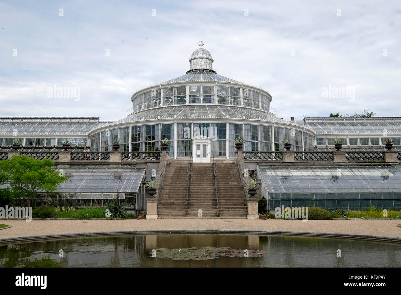 Denmark, Copenhagen, Botanical garden Stock Photo - Alamy