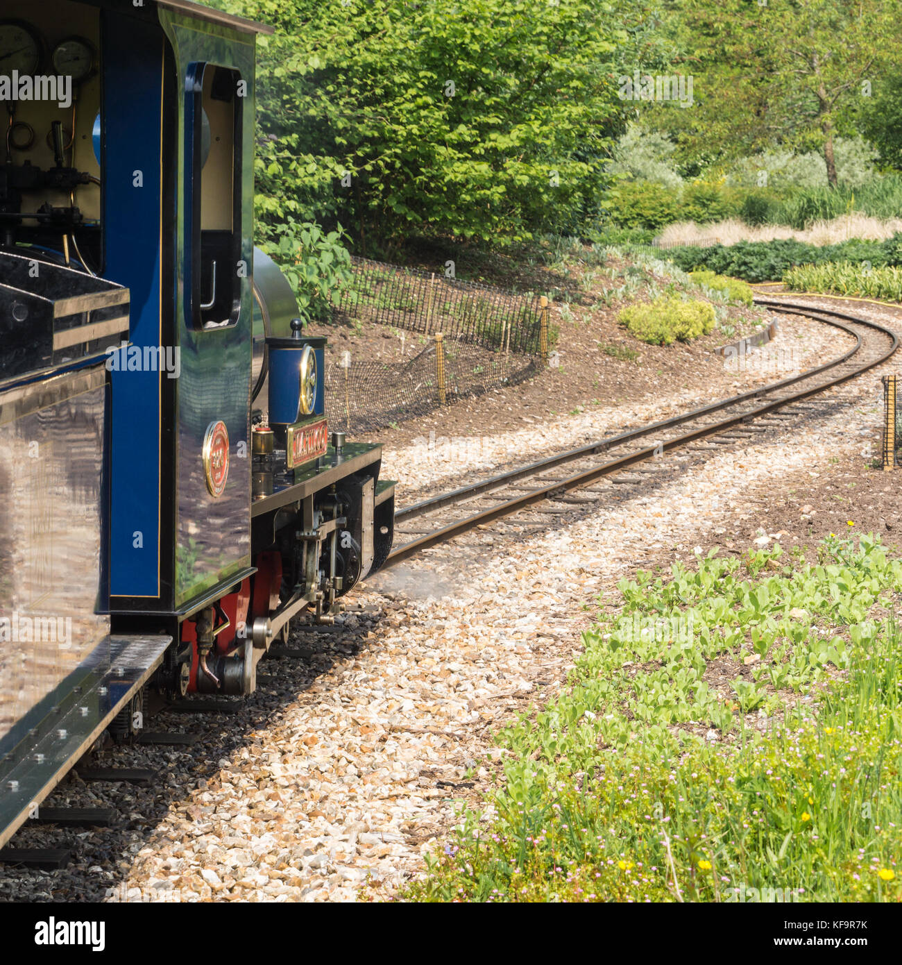 Letting the train take the strain at Exbury Gardens in the New Forest ...