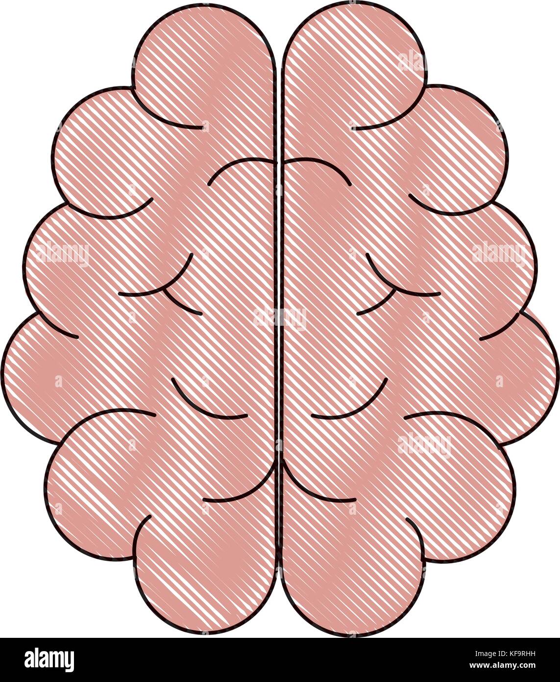 human brain icon over white background vector illustration Stock Vector ...
