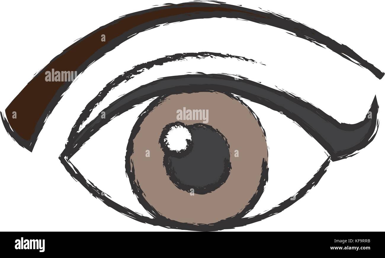 eye icon over white background vector illustration Stock Vector Image ...