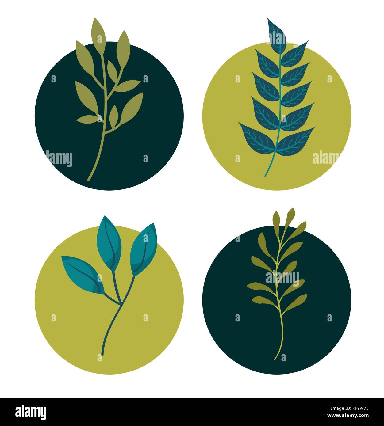 collection natural leaves foliage flora decoration vector illustration ...
