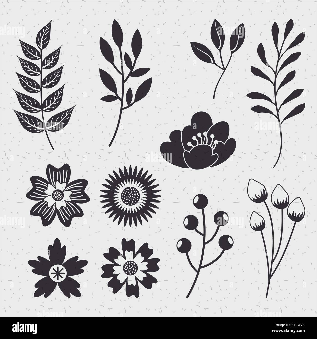 collection natural flower flora decoration vector illustration Stock ...