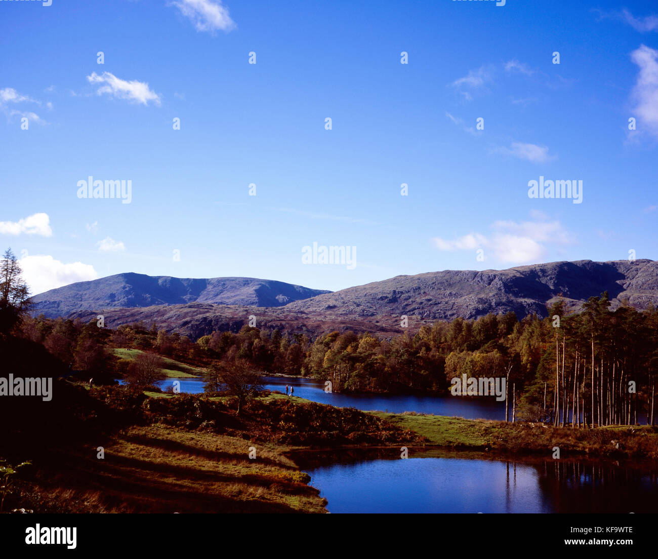 A view of Tarn Hows with The Old Man of Coniston and Wetherlam in the ...