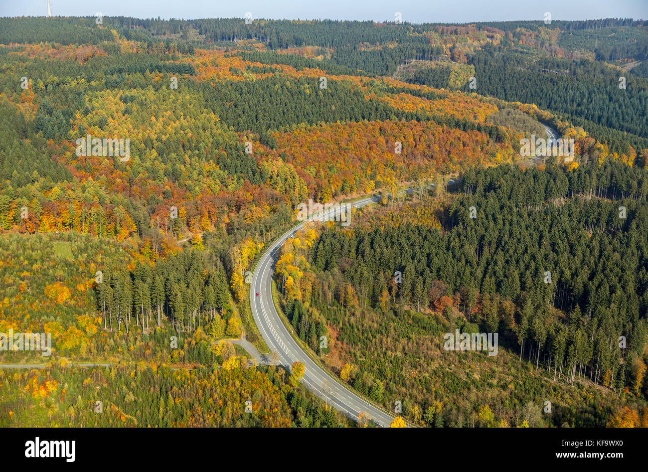 Federal highway B55 through the Mescheder forest road, forest road with ...