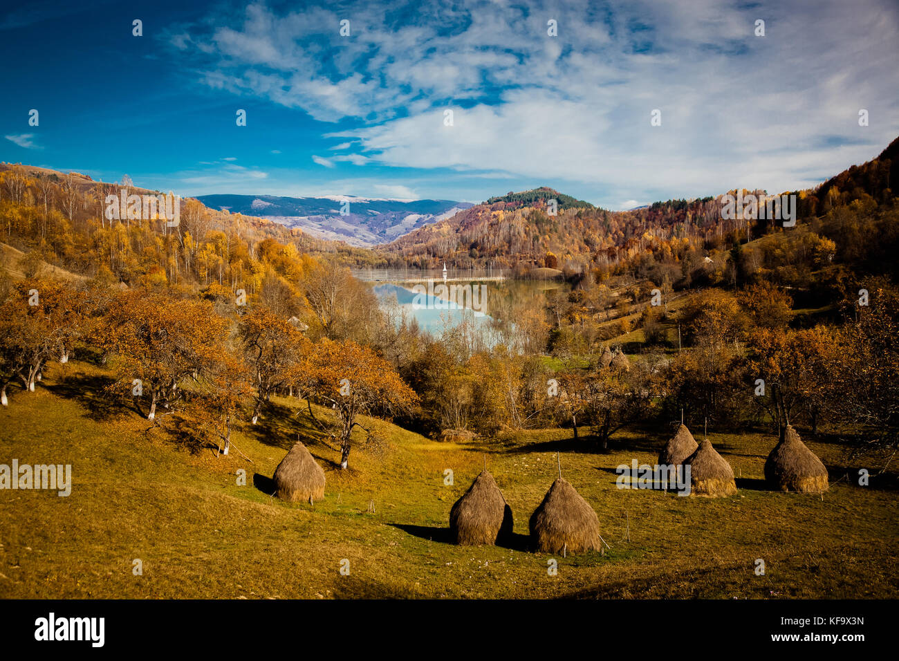 cyanide pollution at Geamana Lake near Rosia Montana, flooded village ...