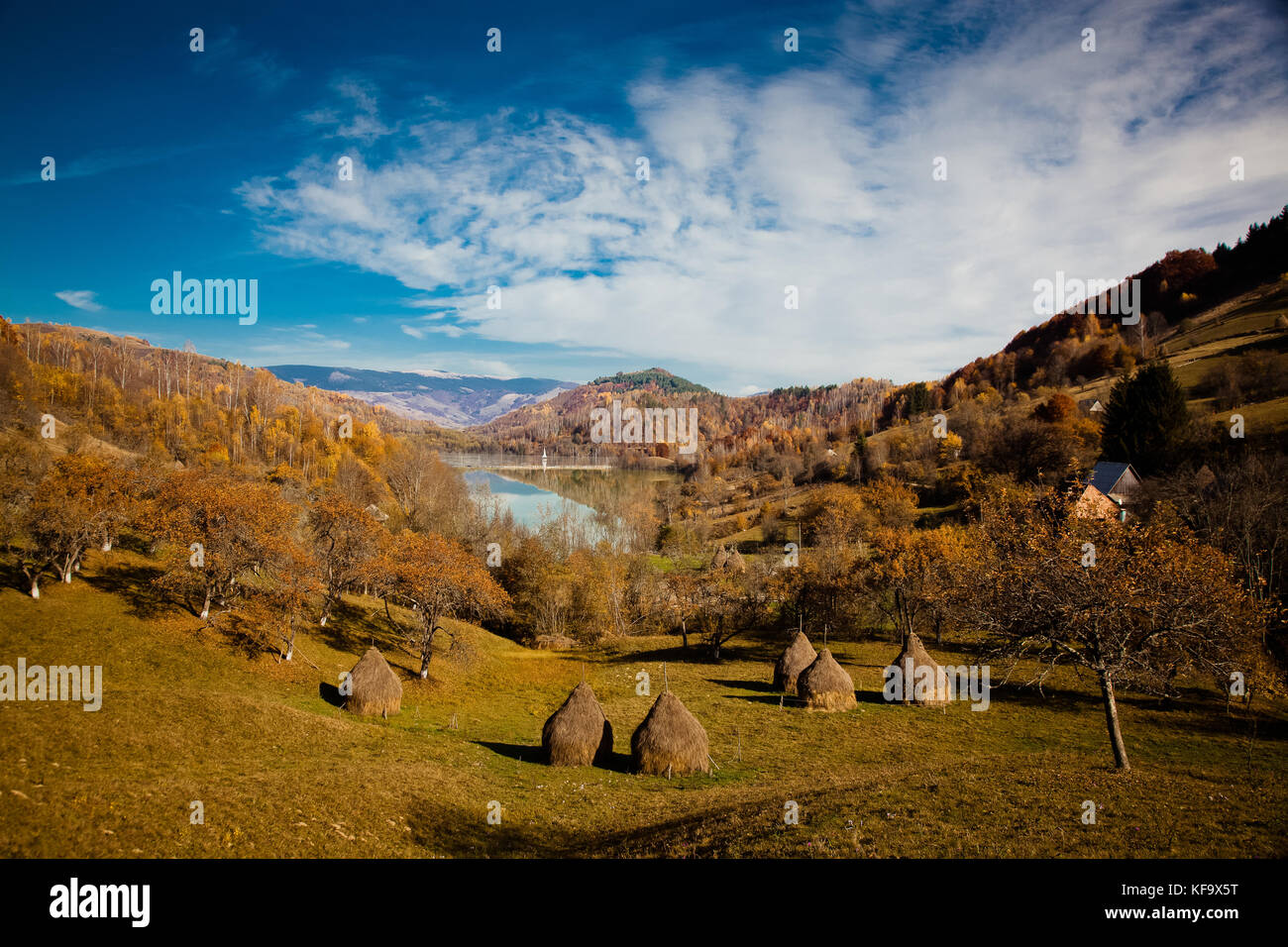 cyanide pollution at Geamana Lake near Rosia Montana, flooded village ...