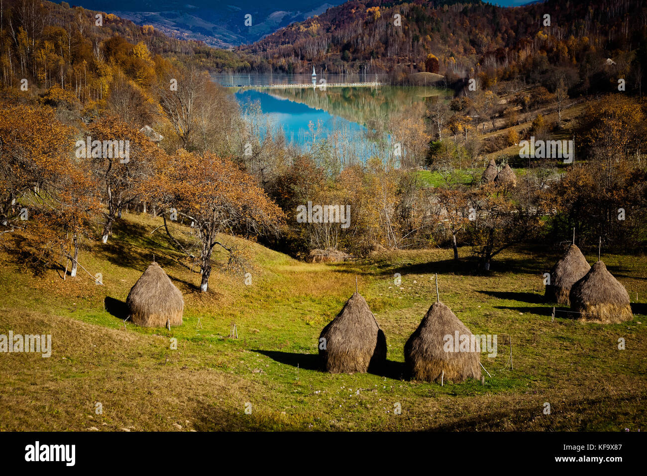 cyanide pollution at Geamana Lake near Rosia Montana, flooded village ...