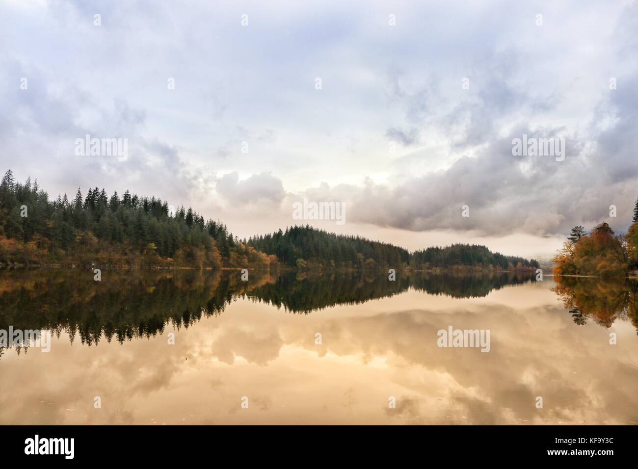 Loch Ard, Aberfoyle, Kinlochard, Scotland, Highlands Stock Photo - Alamy