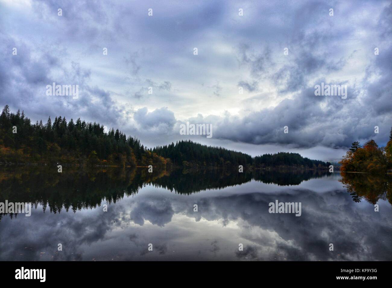 Loch Ard, Aberfoyle, Kinlochard, Scotland, Highlands Stock Photo - Alamy