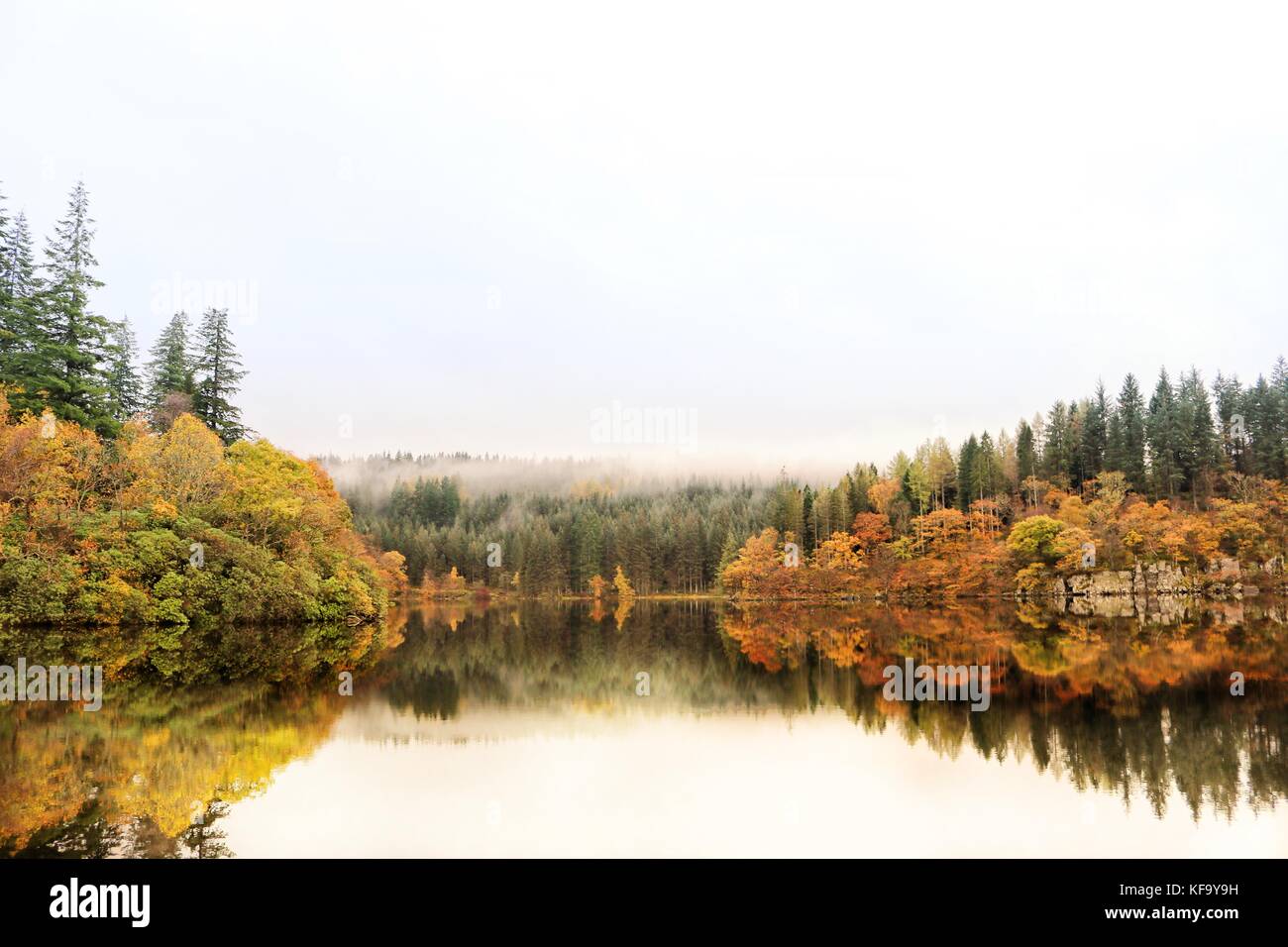 Loch Ard, Aberfoyle, Kinlochard, Scotland, Highlands Stock Photo - Alamy