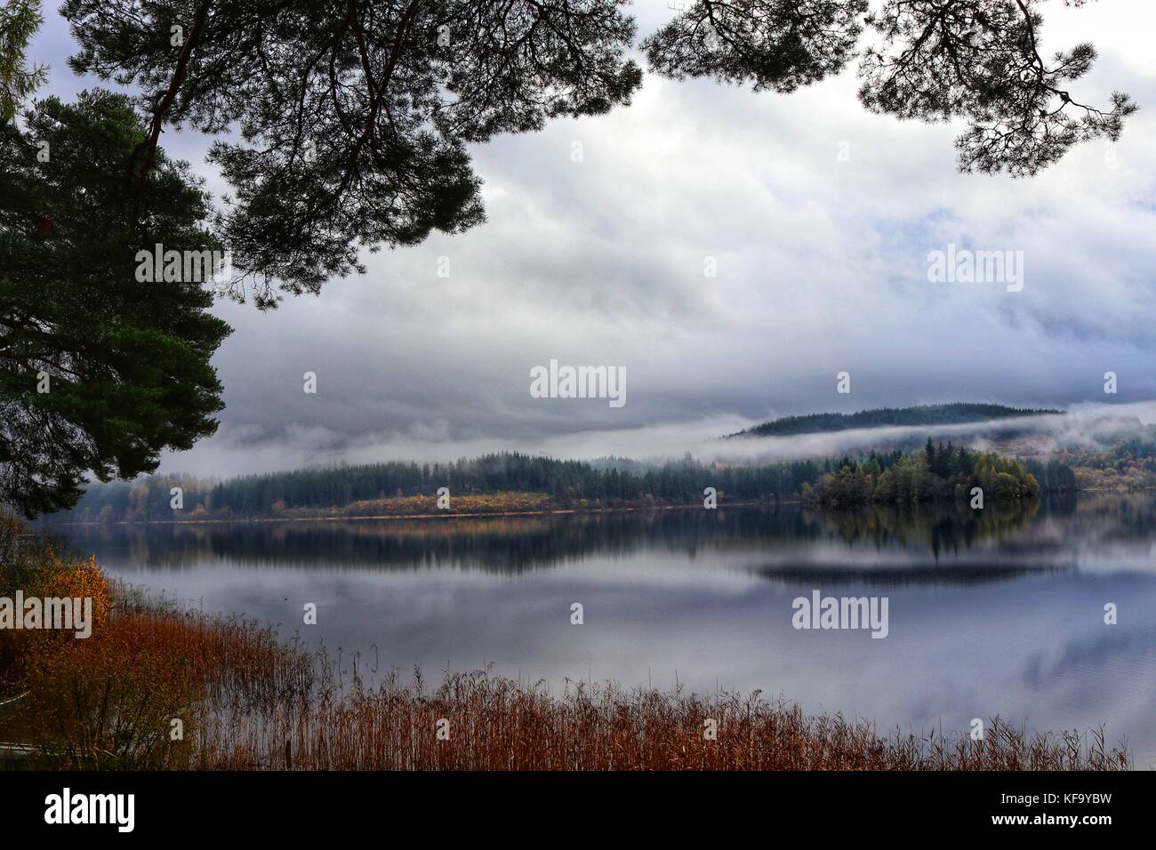 Loch Ard, Aberfoyle, Kinlochard, Scotland, Highlands Stock Photo - Alamy