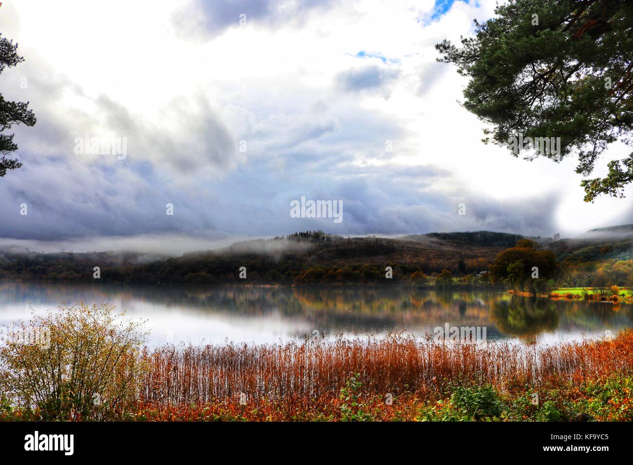 Loch Ard, Aberfoyle, Kinlochard, Scotland, Highlands Stock Photo - Alamy