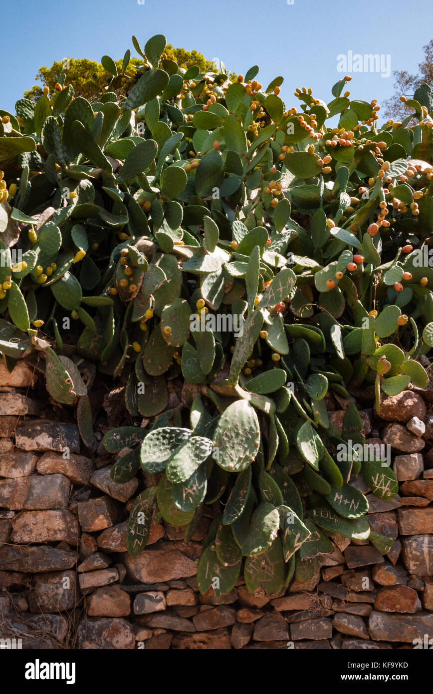 Leprosy, leper colony Stock Photo - Alamy