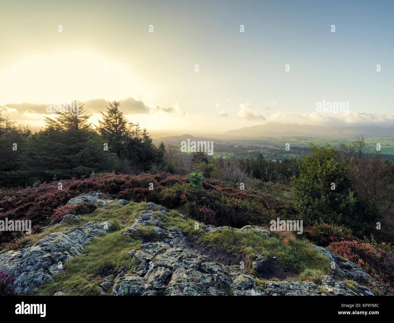 Early Autumn countryside morning,Northern Ireland Stock Photo - Alamy