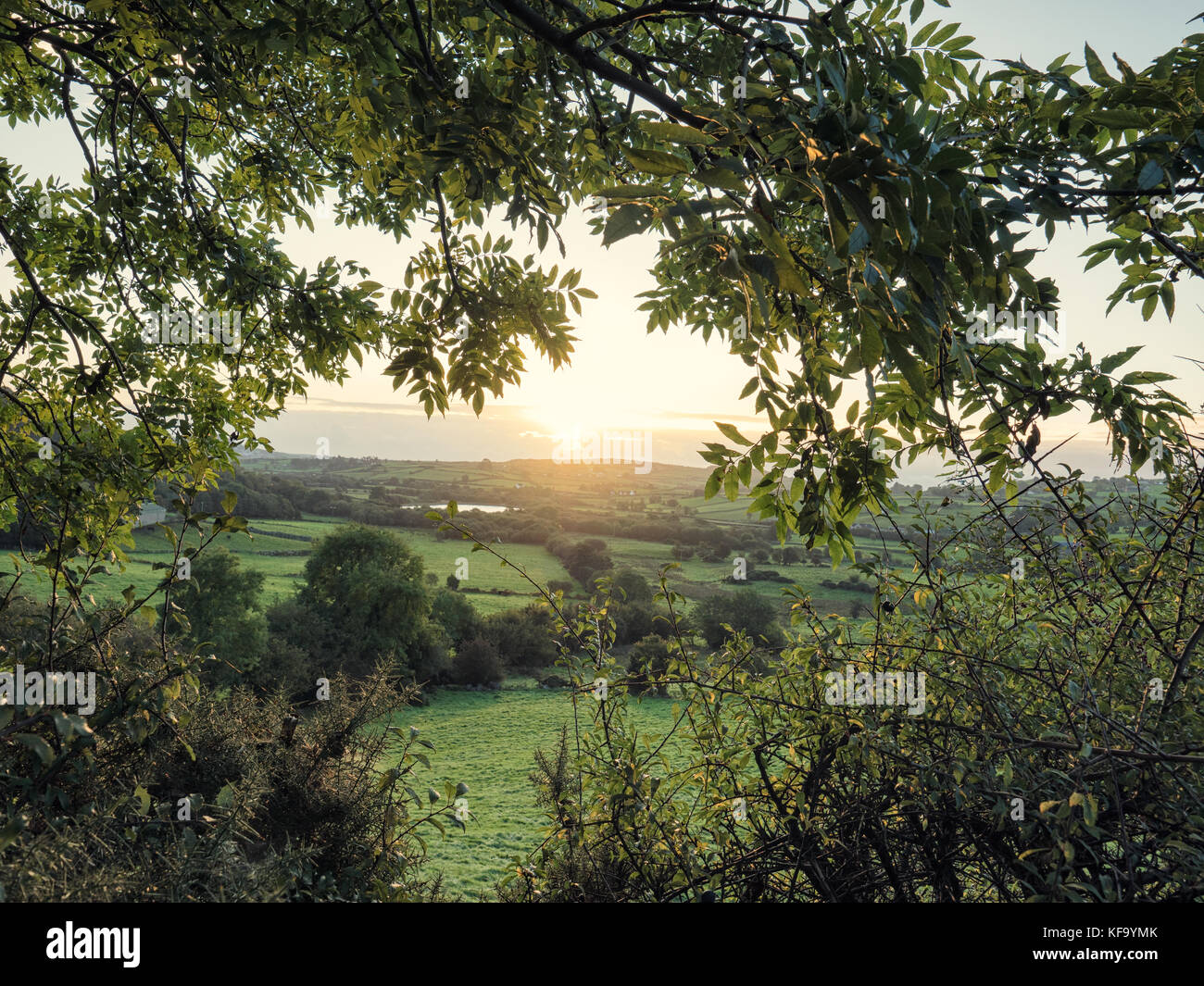 Early Autumn countryside morning,Northern Ireland Stock Photo - Alamy