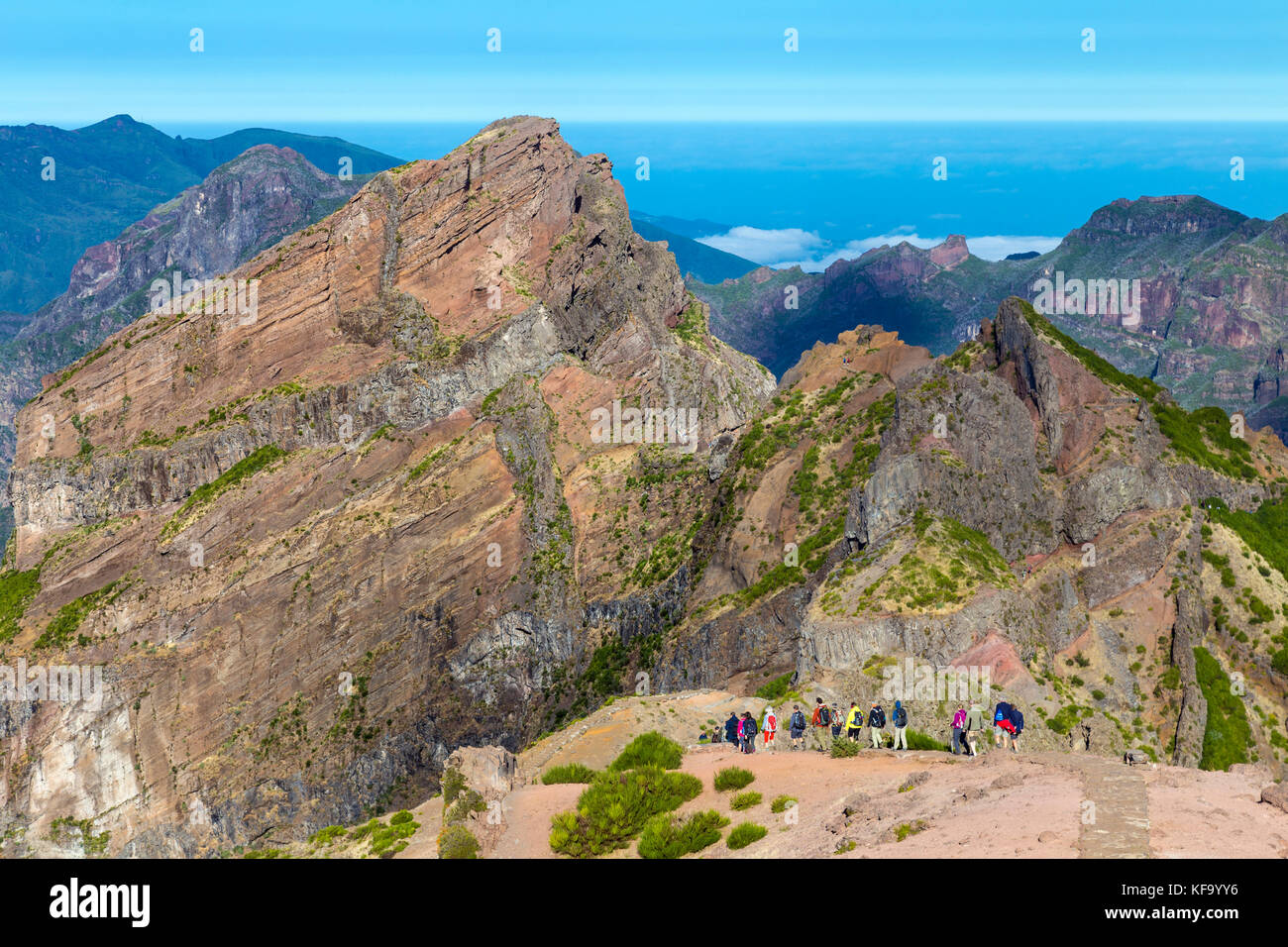 Madeira hi-res stock photography and images - Alamy
