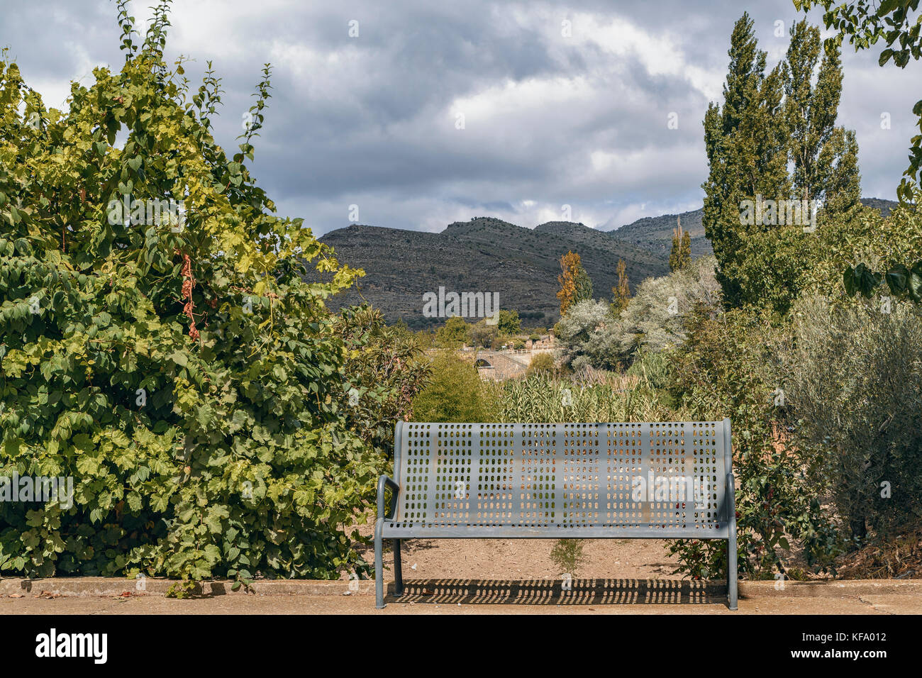 Park bench and summer trees Stock Photo - Alamy