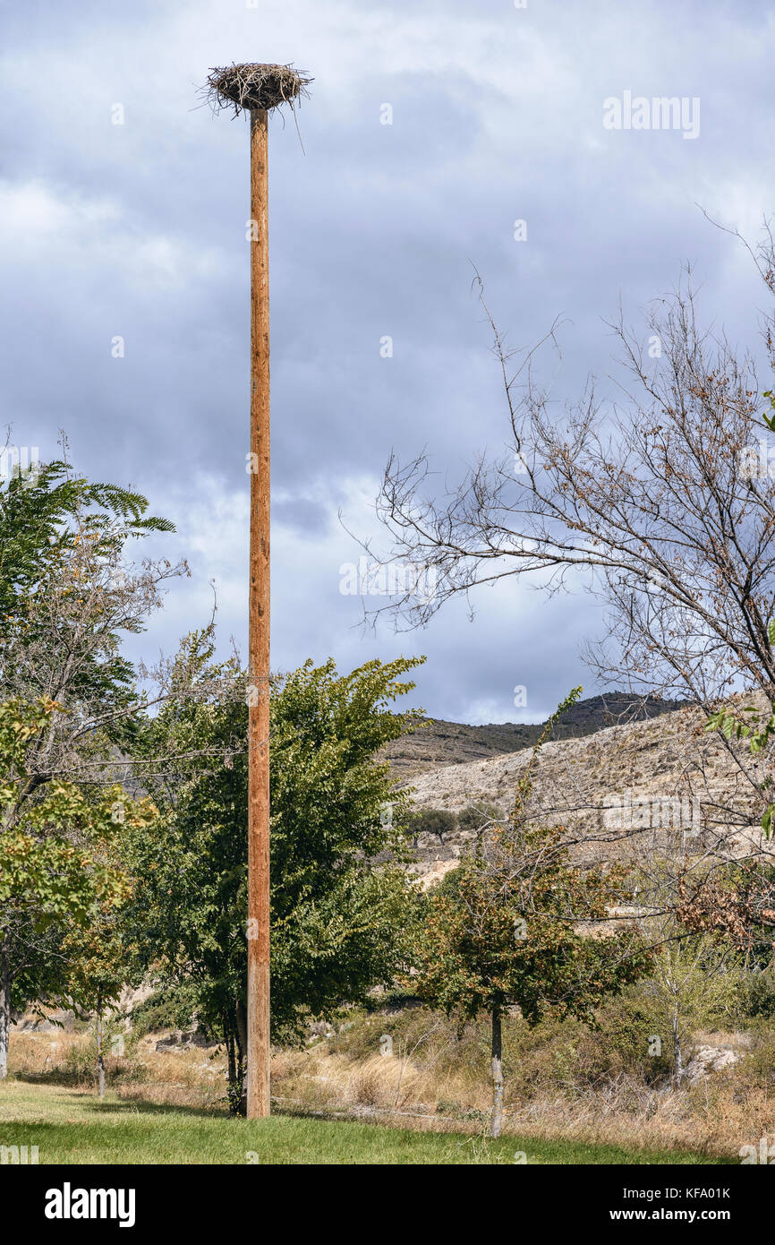 Artificial nesting box for birds hi-res stock photography and images ...