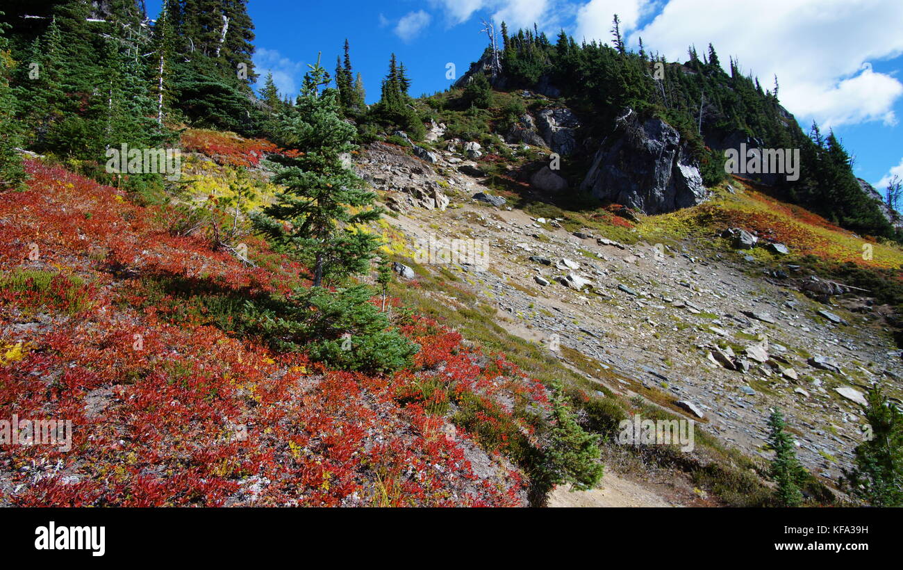 Exploring Washington State, The Great Pacific Northwest Stock Photo - Alamy
