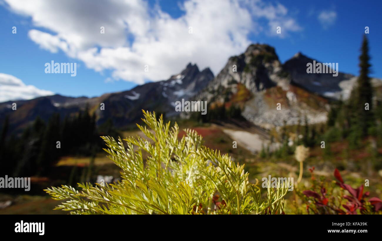 Exploring Washington State, The Great Pacific Northwest Stock Photo - Alamy
