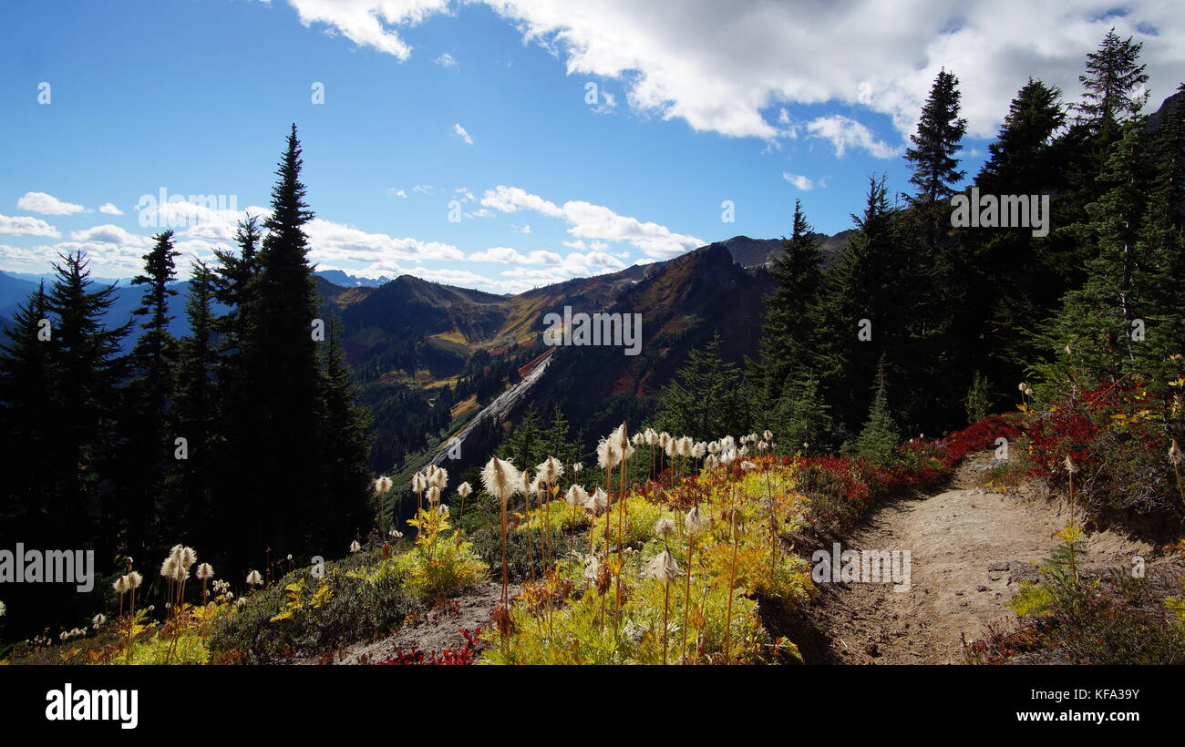 Exploring Washington State, The Great Pacific Northwest Stock Photo - Alamy