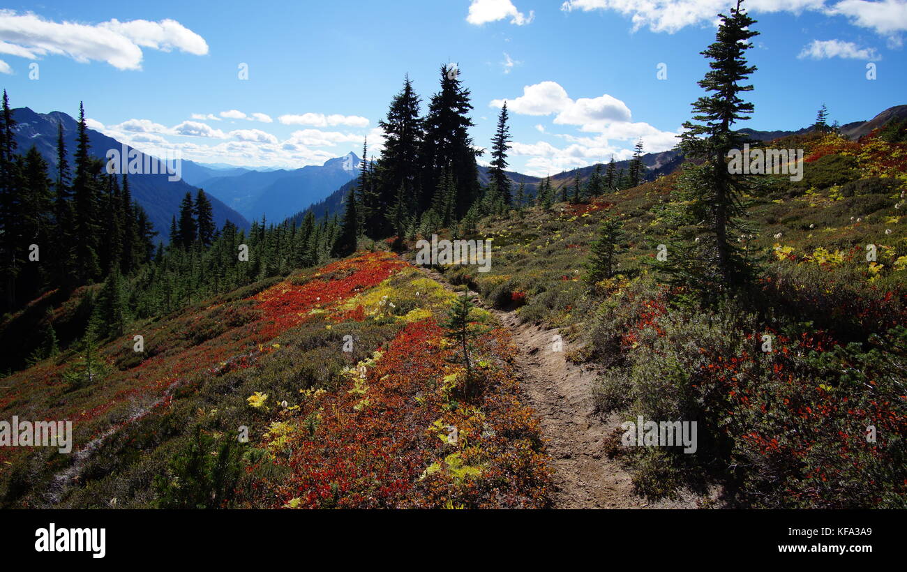 Exploring Washington State, The Great Pacific Northwest Stock Photo - Alamy