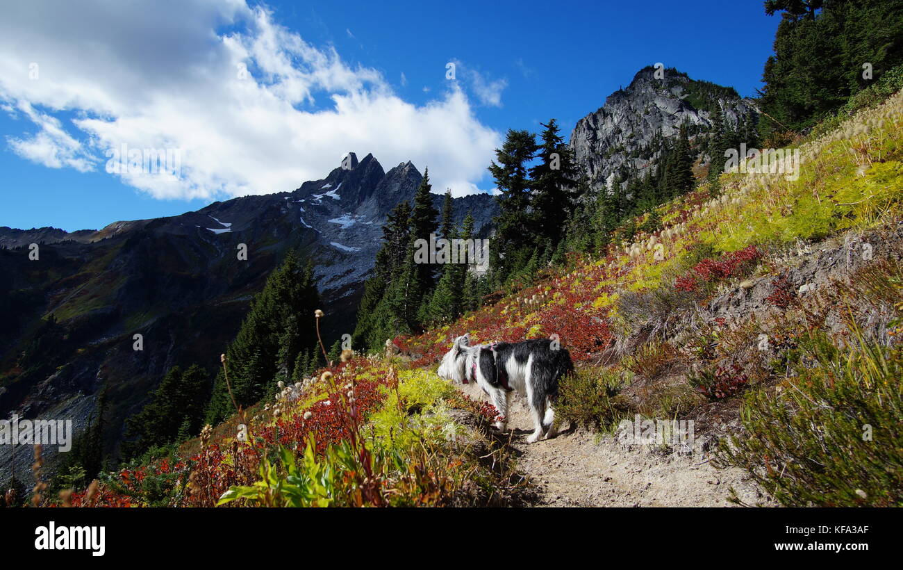 Exploring Washington State, The Great Pacific Northwest Stock Photo - Alamy