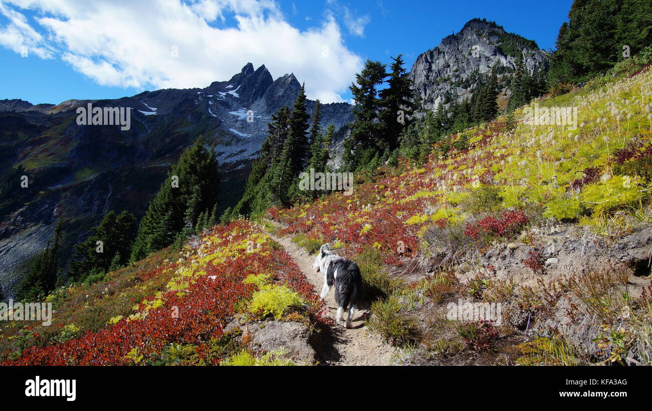Exploring Washington State, The Great Pacific Northwest Stock Photo - Alamy