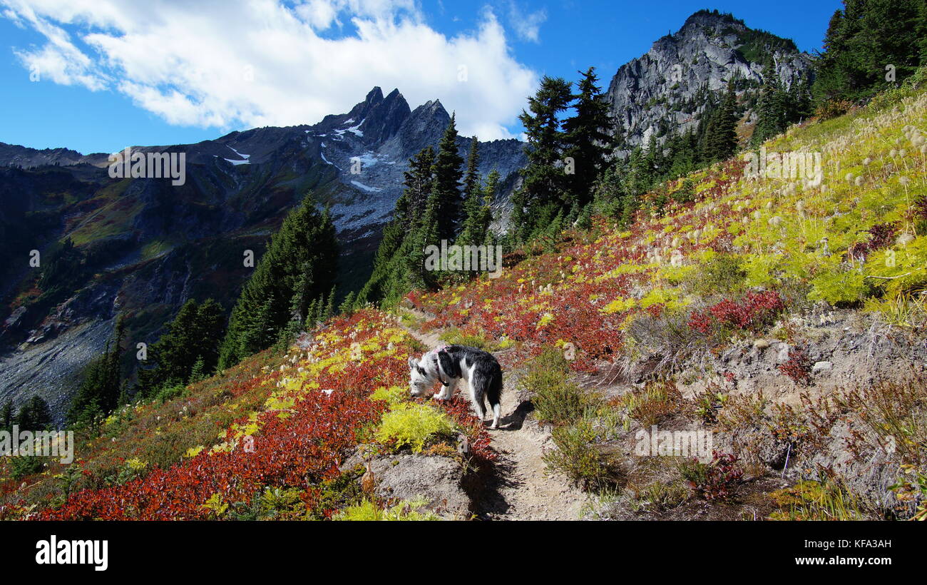 Exploring Washington State, The Great Pacific Northwest Stock Photo - Alamy