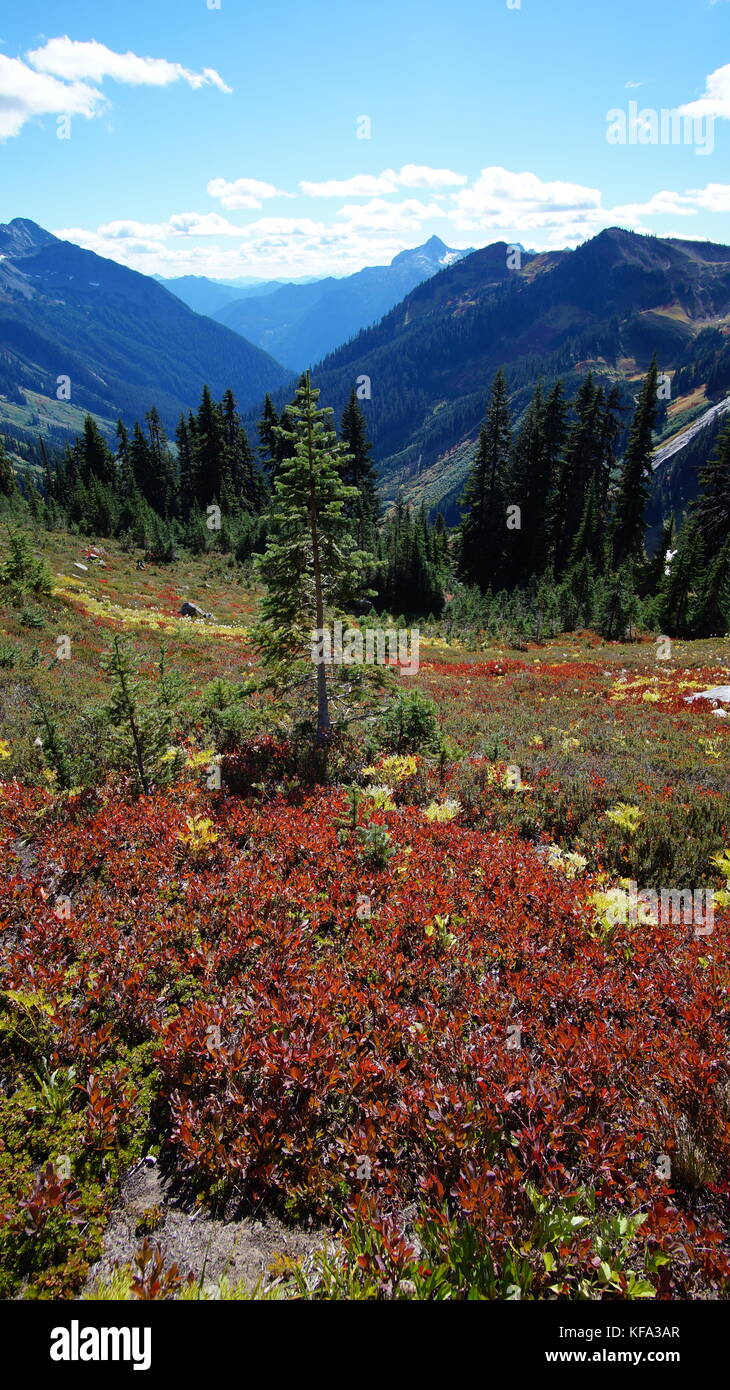 Exploring Washington State, The Great Pacific Northwest Stock Photo - Alamy